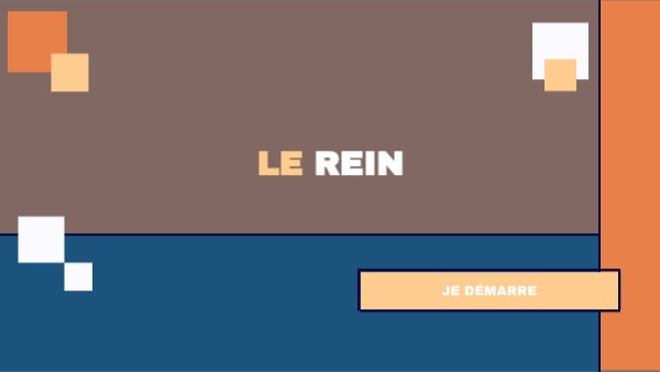 LE REIN | Genially