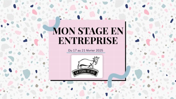 MON STAGE EN ENTREPRISE | Genially