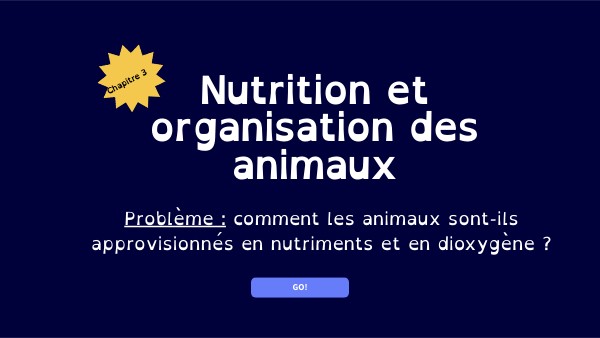 Nutrition et organisation des animaux | Genially