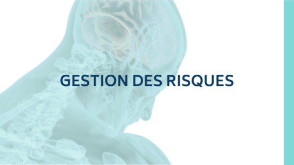Gestion des risques | Genially