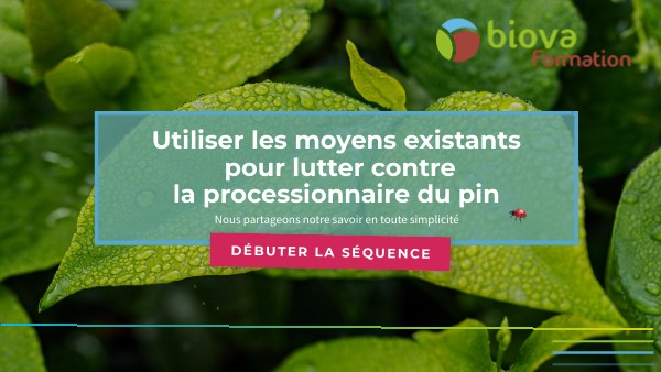 03_Processionnaire du pin | Genially
