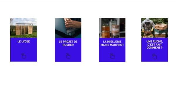 Présentation Pratique | Genially