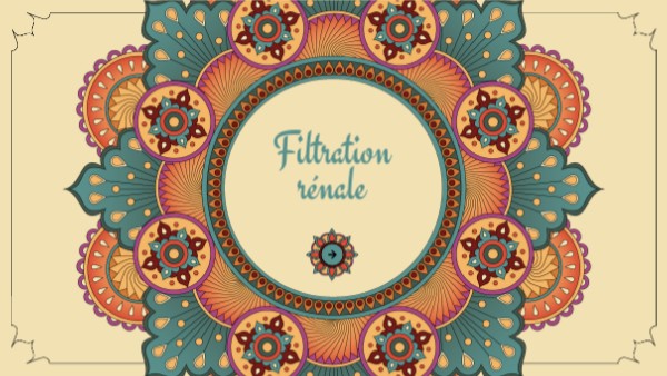 Filtration rénale | Genially