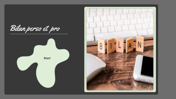 Bilan perso et pro | Genially