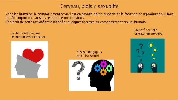 Cerveau, plaisir, sexualité | Genially