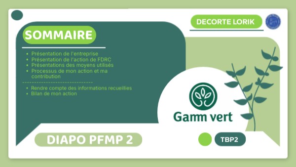 Gamm Vert Stage n2 | Genially