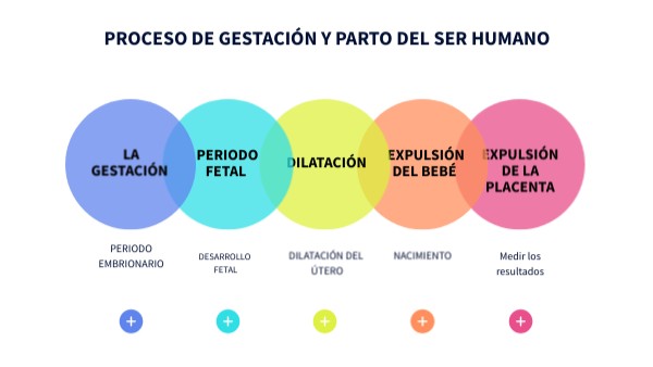 PROCESO DE GESTACIÓN Y PARTO DEL SER HUMANO | Genially