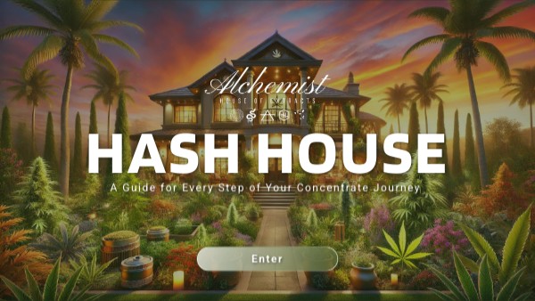 HASH HOUSE | Genially