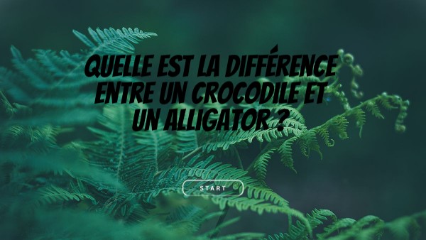 Copie - Quelle est la différence entre un crocodile et un alligator ? | Genially