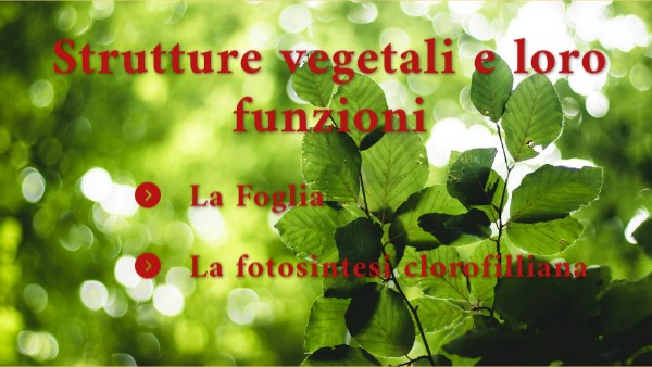 Tipologia di Foglie interattivo | Genially