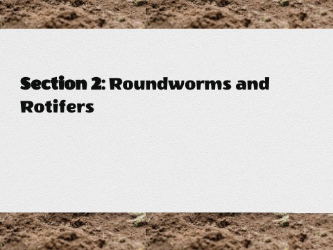 Section 2: Roundworms and Rotifers | Genially