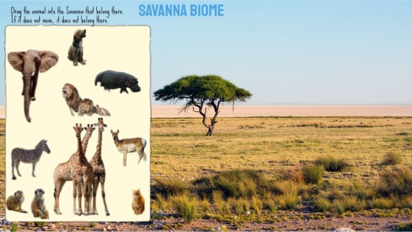 Science Savanna Biome | Genially