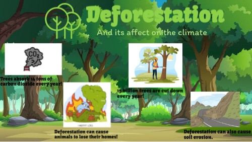 Deforestation | Genially