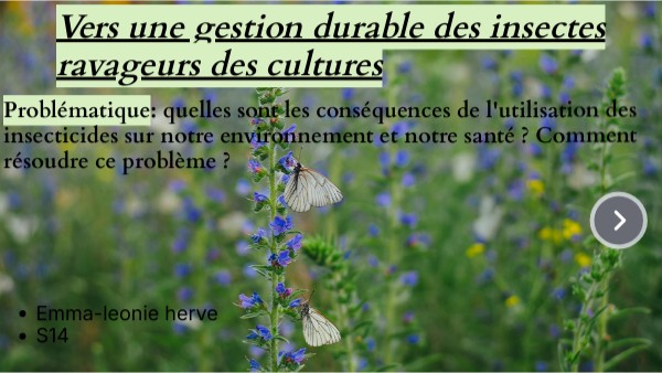 Vers une gestion durable des insectes ravageurs des cultures | Genially