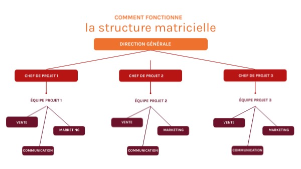 la structure matricielle | Genially