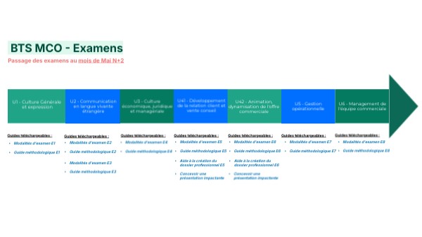 BTS MCO - Frise examens | Genially
