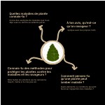 Les ravageurs et les maladies - activité découverte | Genially