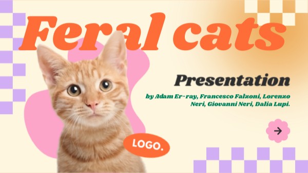 Feral cats | Genially