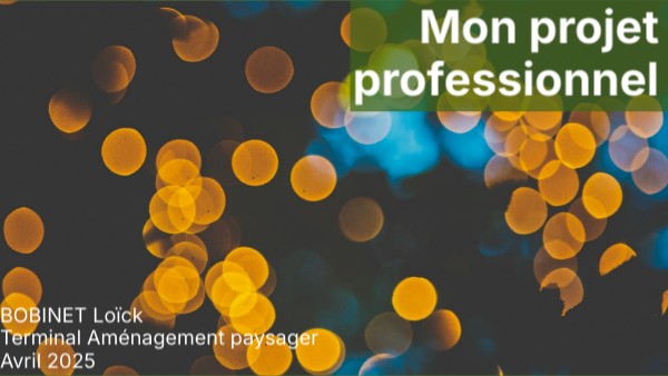 Mon projet professionnel | Genially