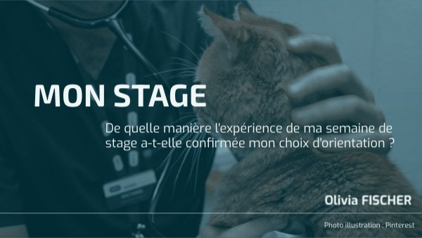 oral de stage | Genially