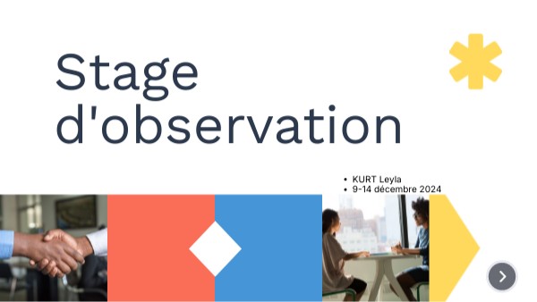 Stage d'observation | Genially