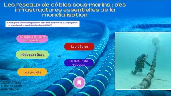 Les réseaux de câbles sous-marins : des infrastructures essentielles de ...