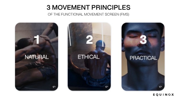 Principles of FMS | Genially