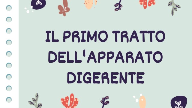 il primo tratto dell'apparato digerente | Genially