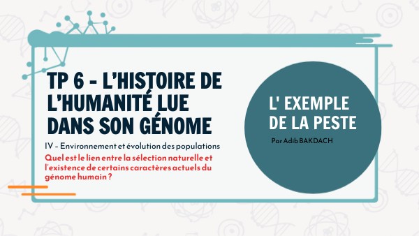 SVT EXPOSÉ | Genially