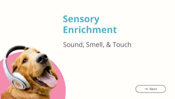 APA! 104 C3 L3 | Genially