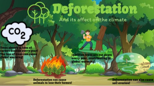Deforestation | Genially