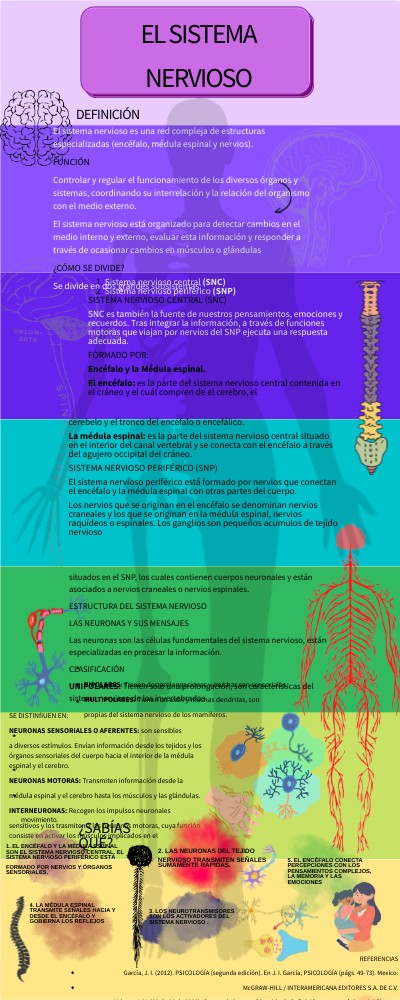 infografia-el-sistema-nervioso-y-su-estructura_compress.pptx | Genially