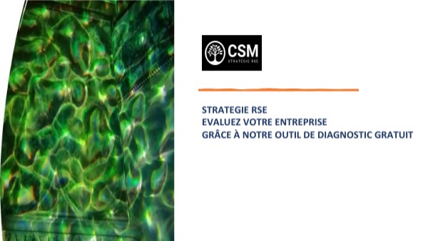 PrÃ©sentation audit de maturitÃ© RSE 1.pdf | Genially