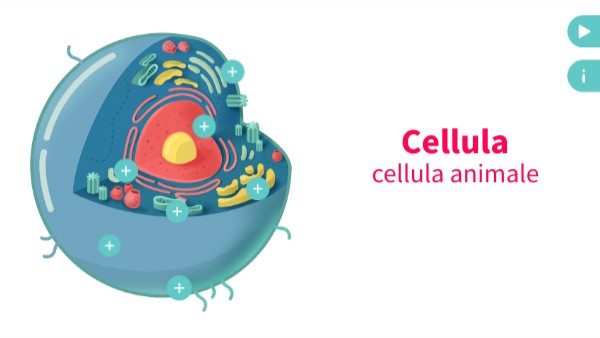 Cellula | Genially