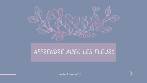 APPRENDRE AVEC LES FLEURS | Genially