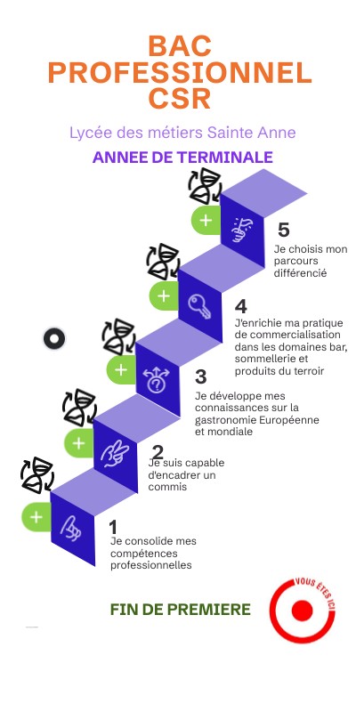 BAC Professionnel CSR | Genially