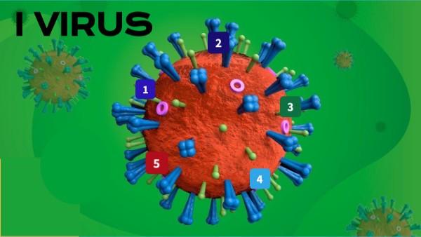 I VIRUS | Genially