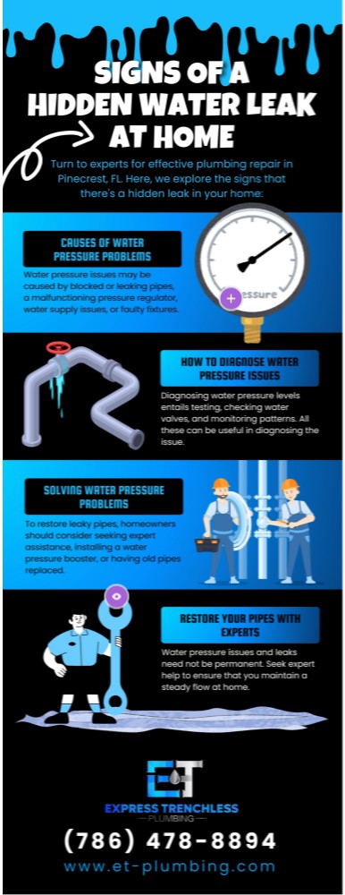 Signs of a Hidden Water Leak at Home | Genially