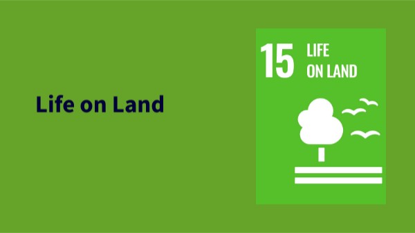 SDG 15 : Life on Land Presentation | Genially