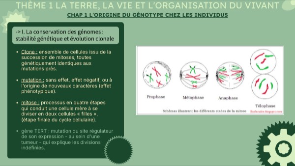 Thème 1 La Terre, la vie et l'organisation du vivant | Genially
