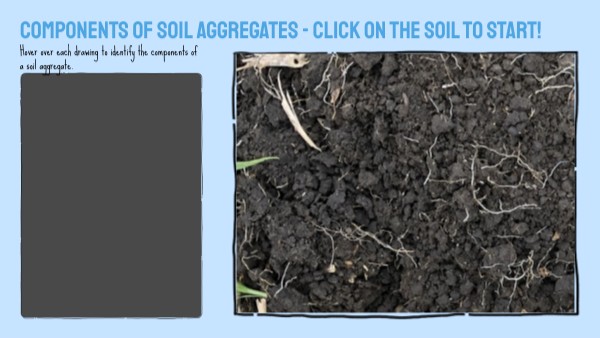 components of soil aggregates - CLICK ON THE SOIL to start! | Genially