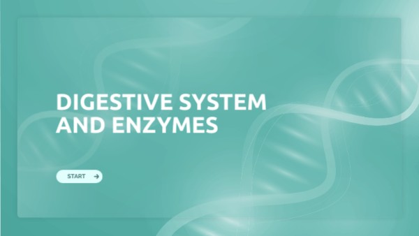 DIgestive system and enzymes | Genially