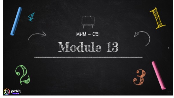 MHM CE1 Module 13 | Genially