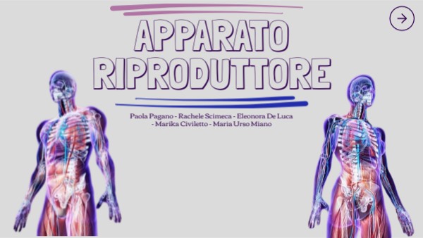APPARATO RIPRODUTTORE | Genially