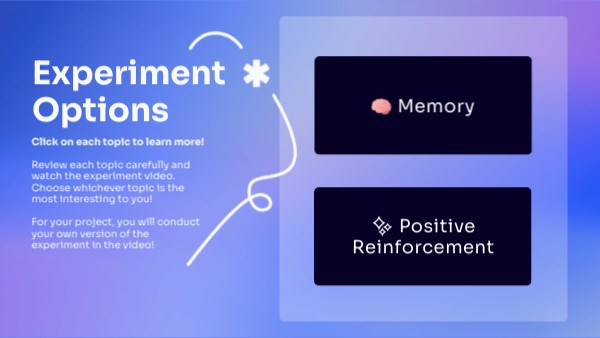 Experiment Options (L1) | Genially