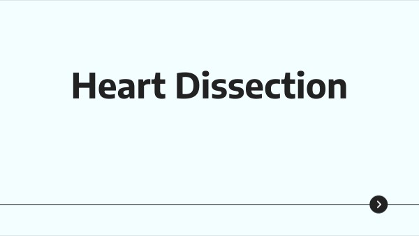 Heart Dissection | Genially