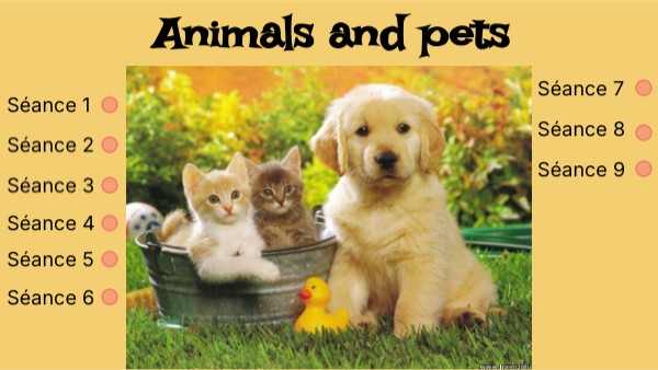 Animals and pets | Genially