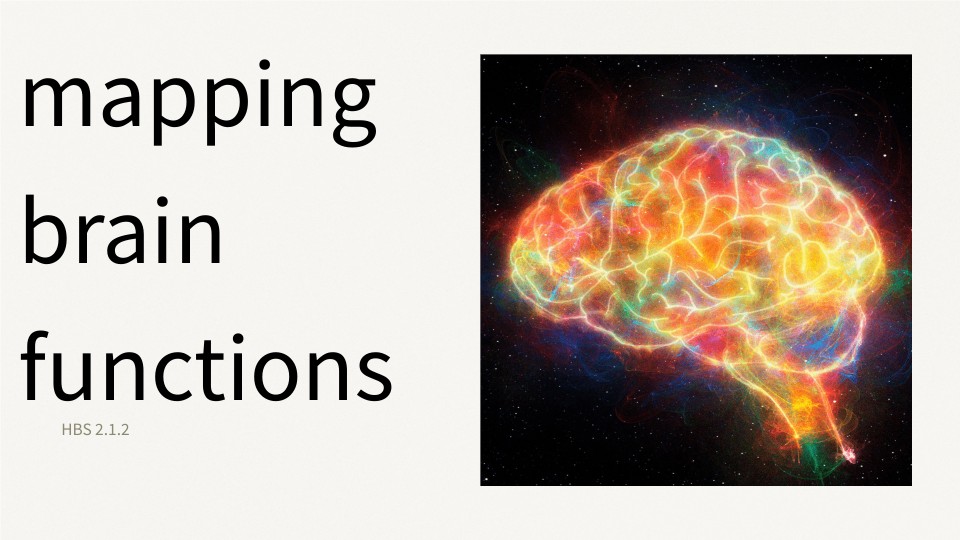 HBS 2.1.2 Mapping Brain Function | Genially