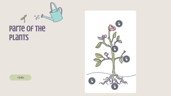 Parts of the plants | Genially