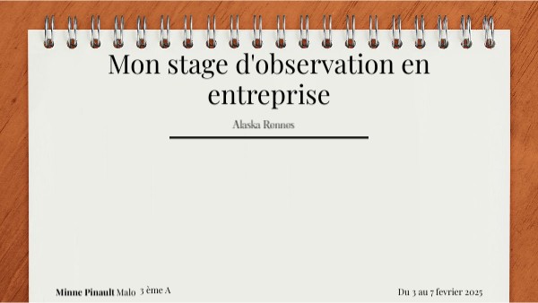Mon stage d'observation en entreprise | Genially